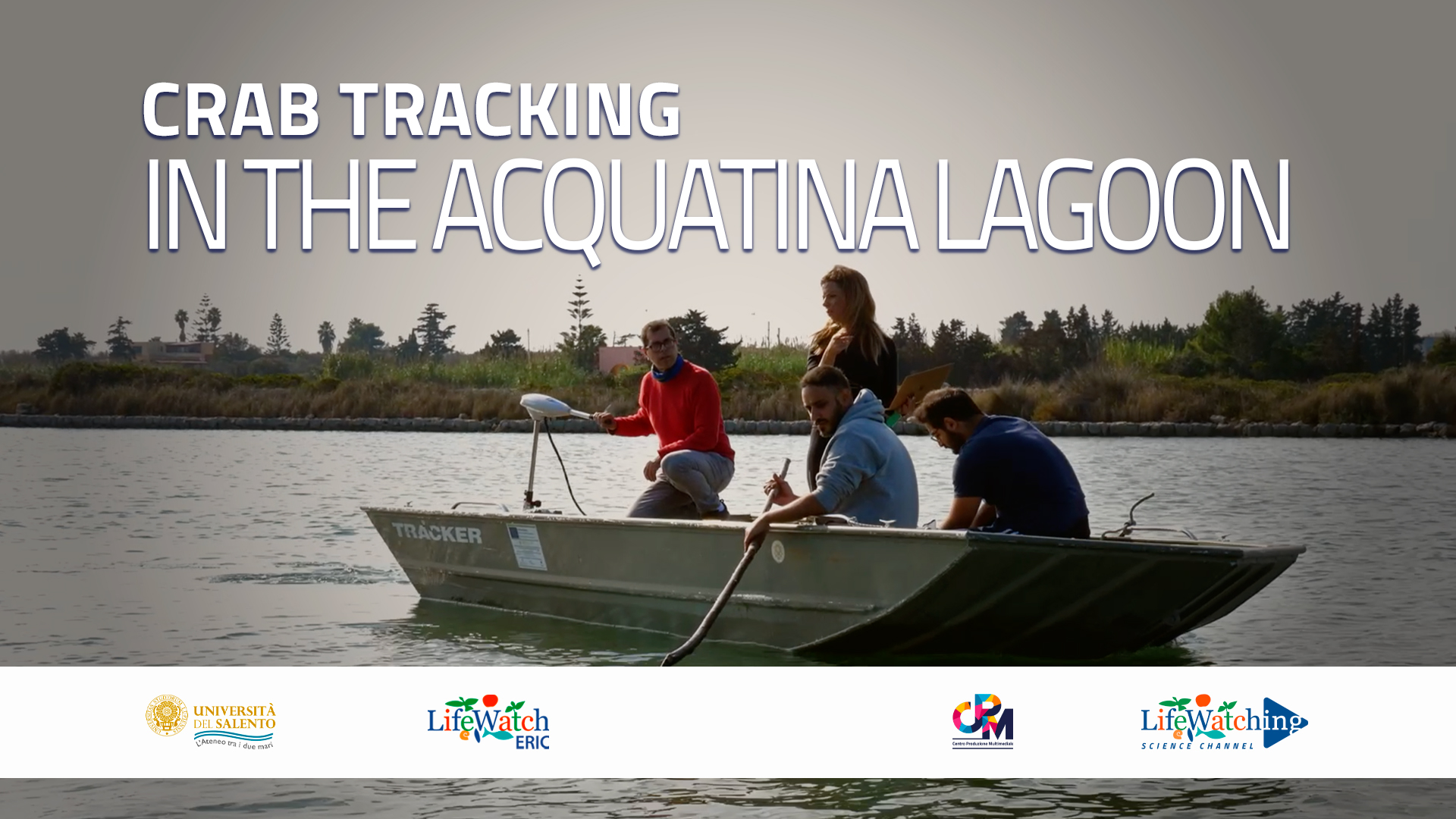 How does acoustic telemetry work? - LifeWatching WebTV