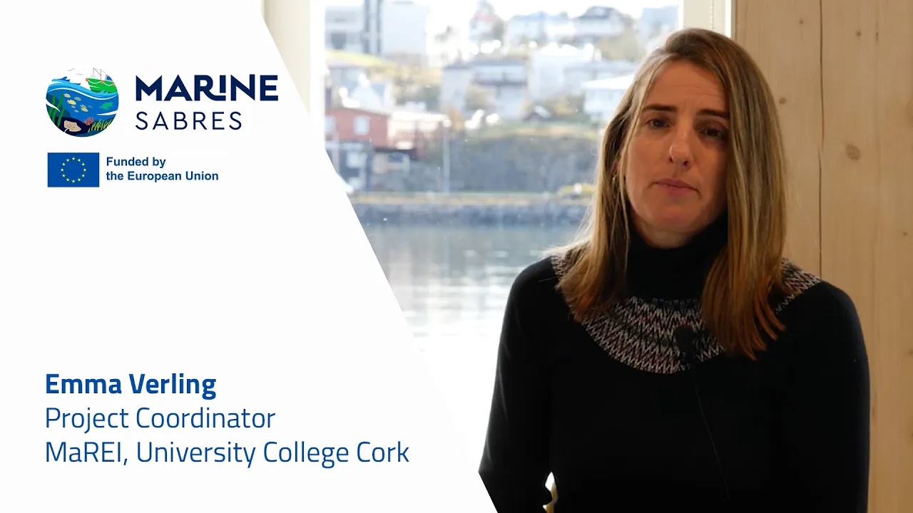 The video message of Emma Verling, project coord., at the 2nd GA ...