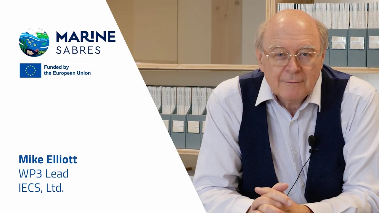 The video message of Emma Verling, project coord., at the 2nd GA ...