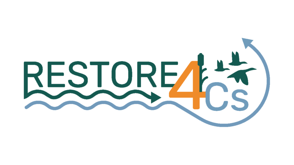 RESTORE4CsRESTORE4Cs - LifeWatching WebTV