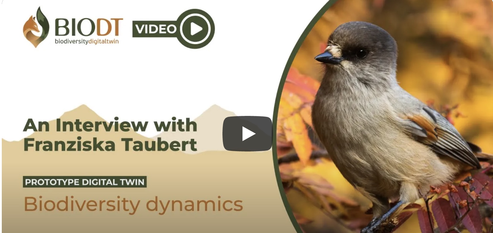 The interview with Franziska Taubert (UFZ) - LifeWatching WebTV